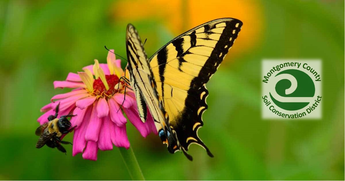 2025 APPLICATION WINDOW NOW OPEN –deadline nov. 15 | Montgomery County ...