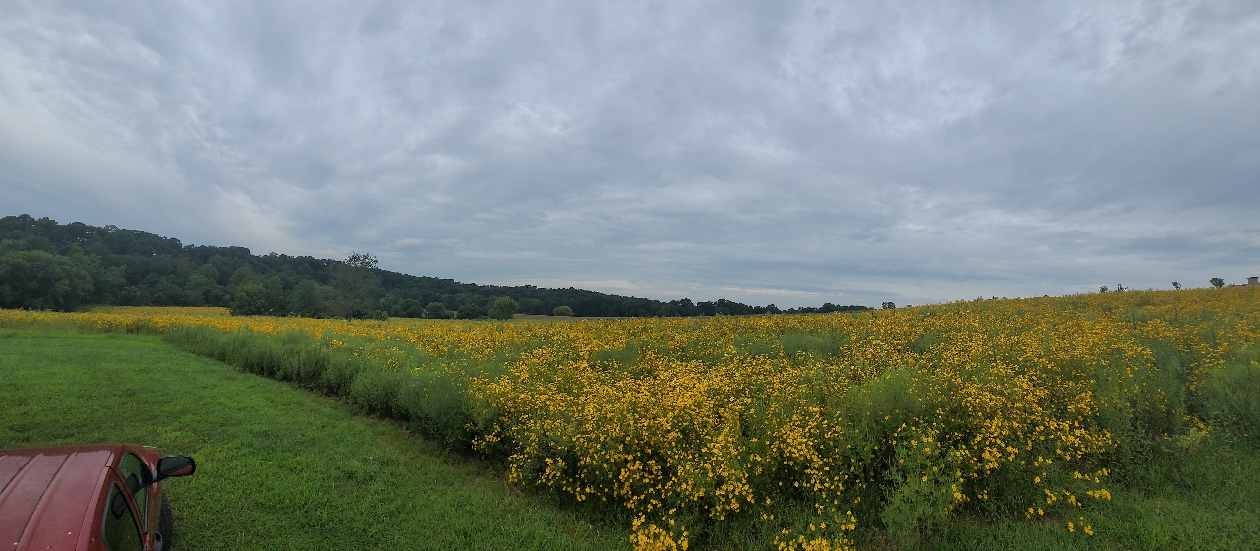 Tennessee announces Conservation Stewardship Program 30-day deadline ...